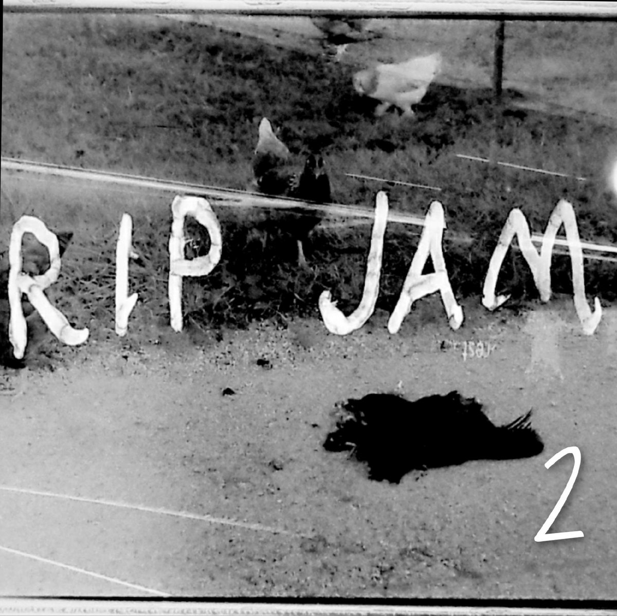 RIP JAM 2 | RIP JAM | Chase Riddle