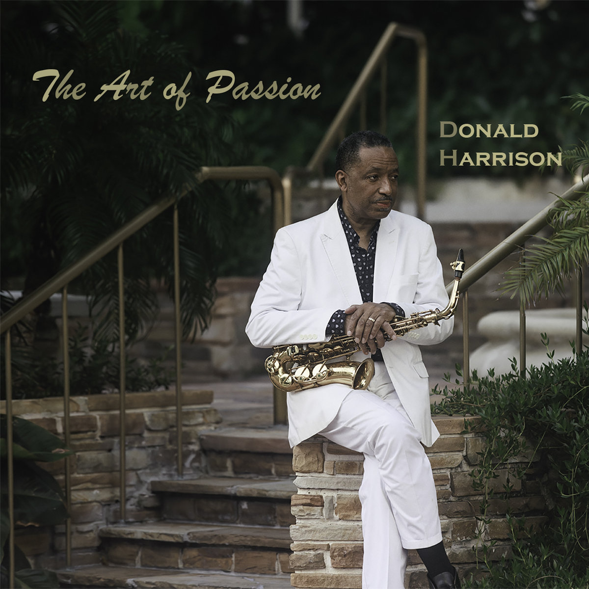 The Art Of Passion | Big Chief Donald Harrison