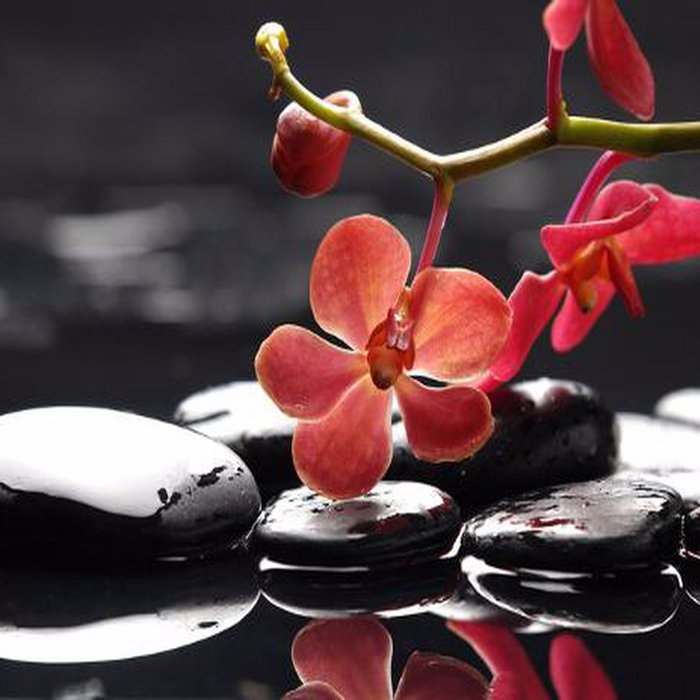 New Shorts And Stuff | rwg