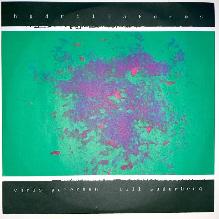 hydrillaforms | chris petersen/will soderberg | the white rose network