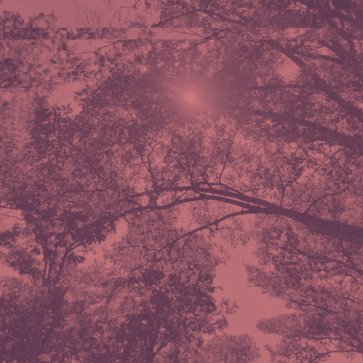 Forgotten Memories | Outside Observer