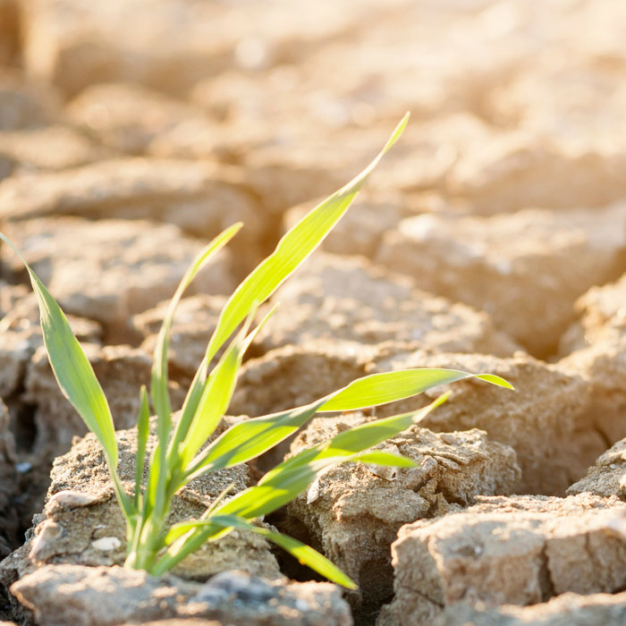 Home Of My Passion | TimMan Timothy