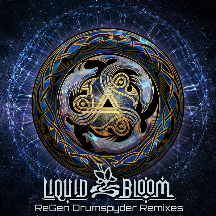 ReGen: Drumspyder Remixes | Liquid Bloom
