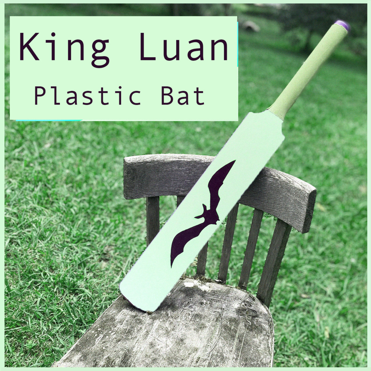 Plastic Bat | King Luan