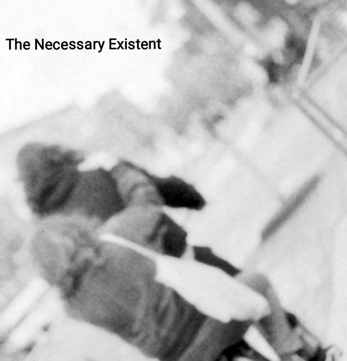 The Necessary Existent | Green's Black Orchids