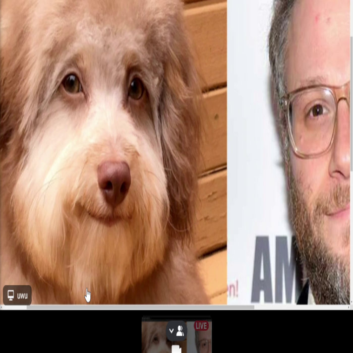 dog seth rogan (VA) | Some Guys But You Can't Hear Majority of Them ...