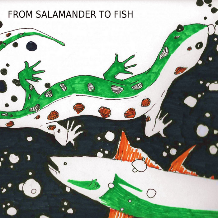 from salamander to fish | Fedak and Schenk | marc fedak