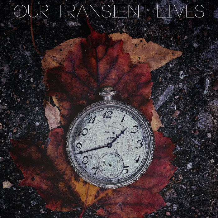Daily Loss | Our Transient Lives