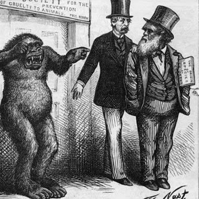 Some Songs | Kenneth Sullivan