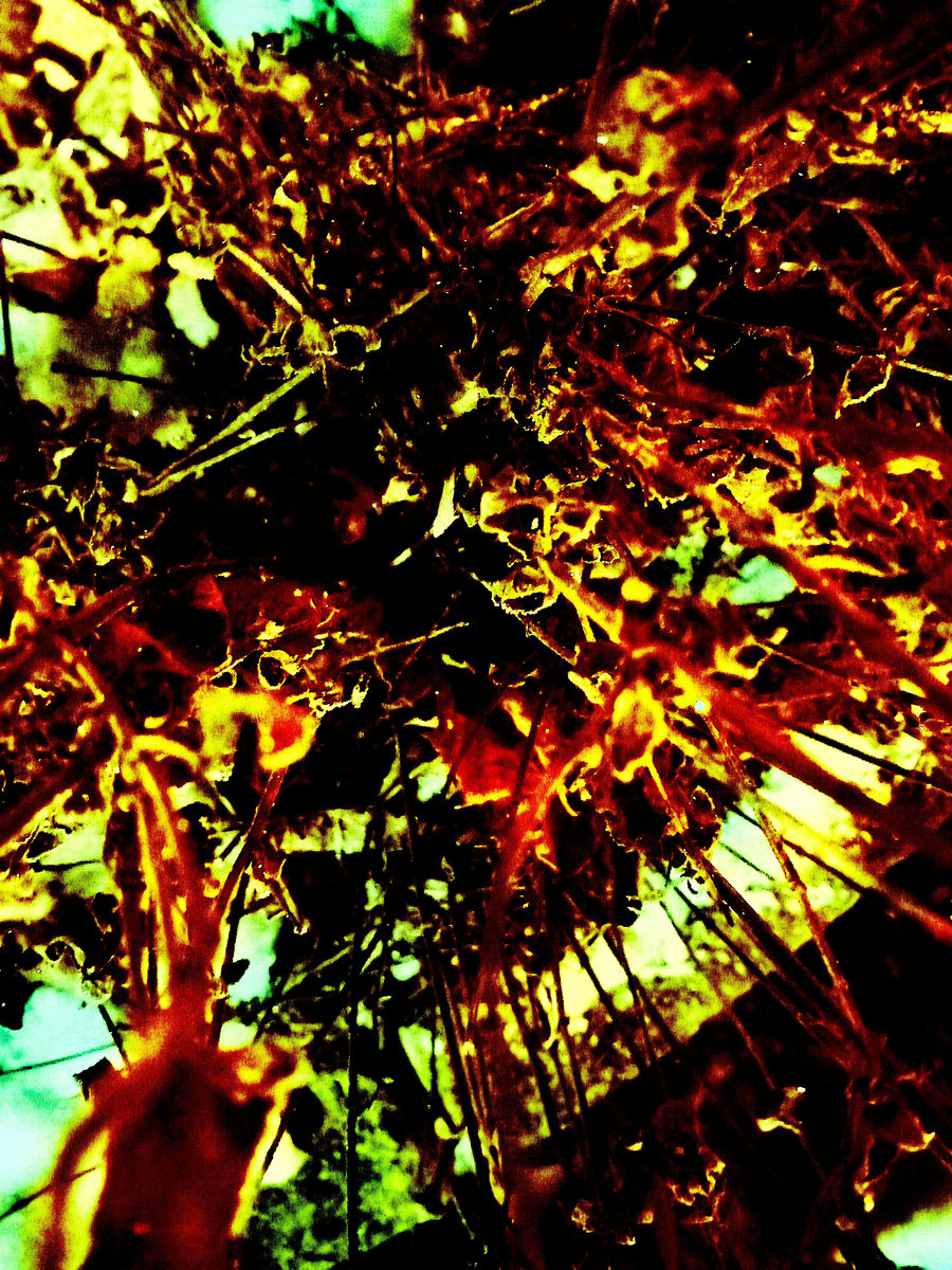 Car vs People: Only One Can Remain | Alien POV | Alize Productions