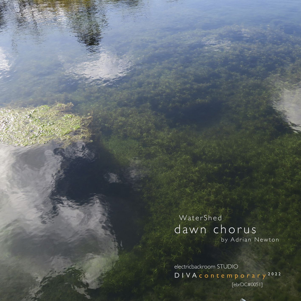 WaterShed :: dawn chorus | Adrian Newton | DIVAcontemporary