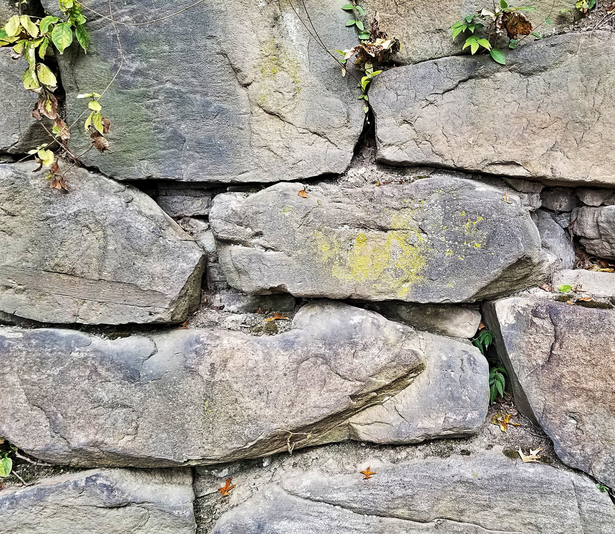 hollywood staircase | David Beardsley