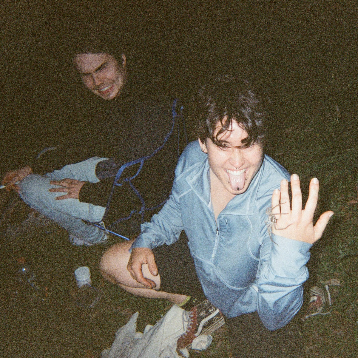 fish and chips | my dog, satellite