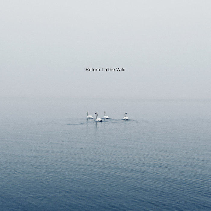 Return To the Wild | Good Morning Spider