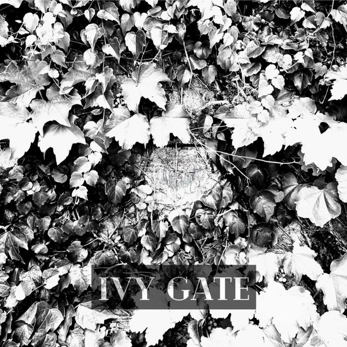 IVY GATE | IVY GATE
