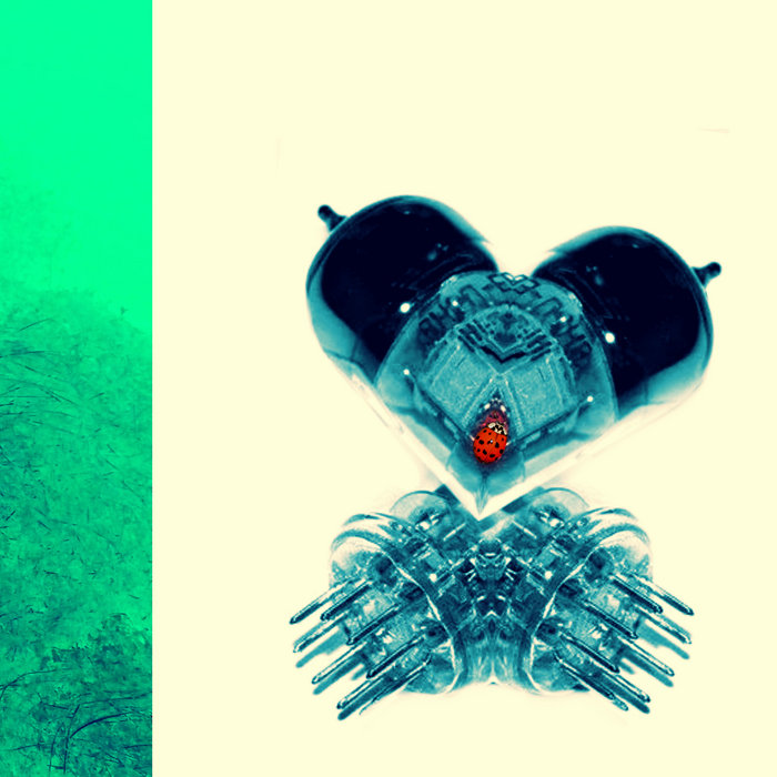 Bugs Symphony Sigmud