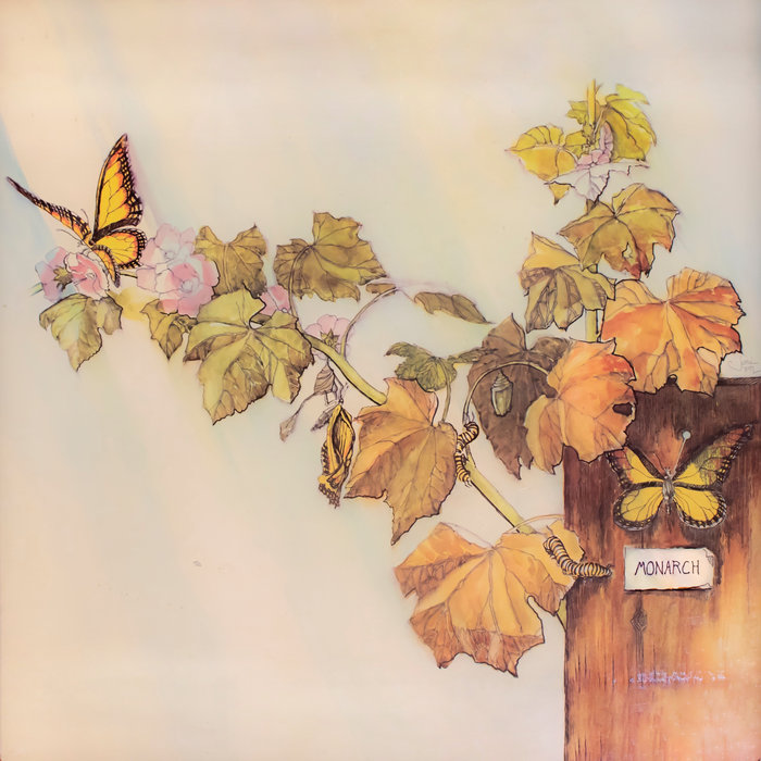 Monarch | Mark Mallon