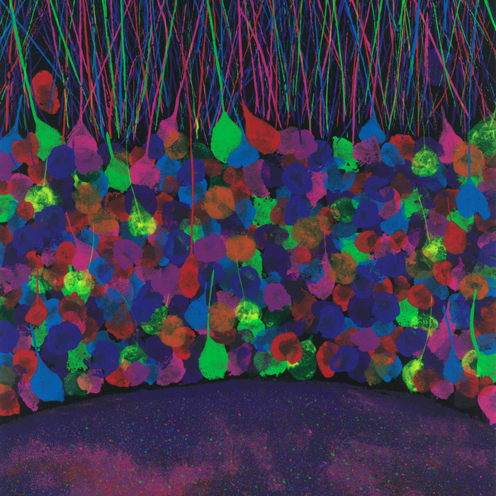 Circadia | David Grubb