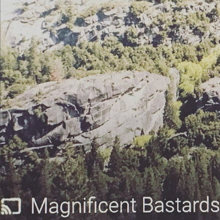 The Forest Brothers | Magnificent Bastards | The Forest Brothers