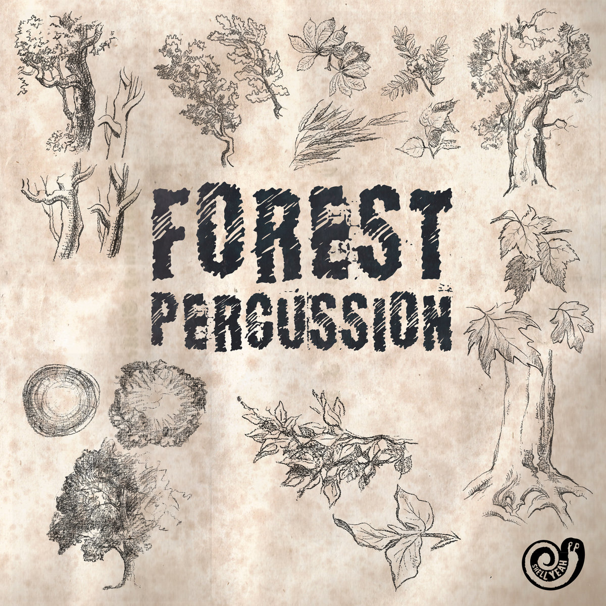 Forest Percussion | Shell Yeah Audio