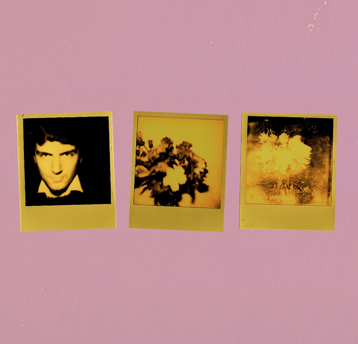 Yellow Rays | Laurie Shaw