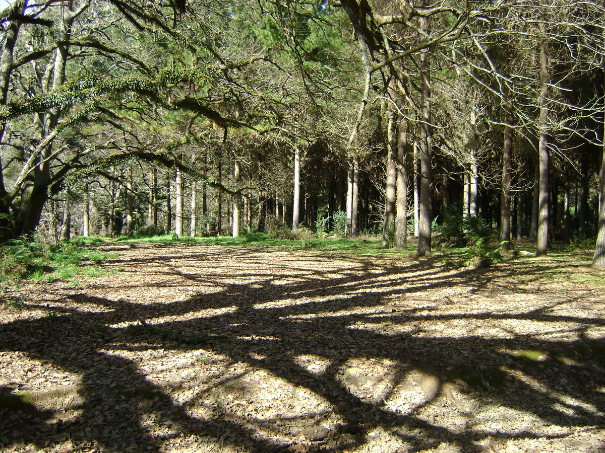 Hymn 624 | Jocee Tuck