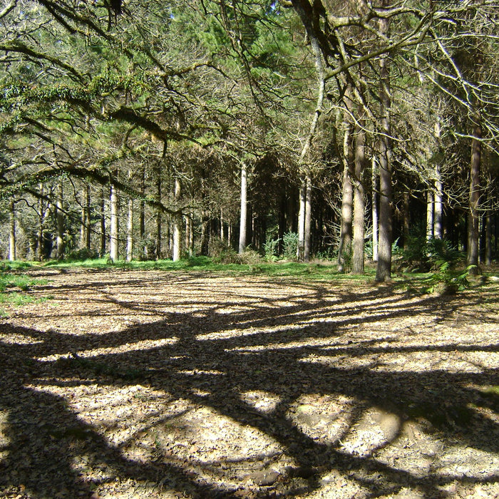 Hymn 624 | Jocee Tuck