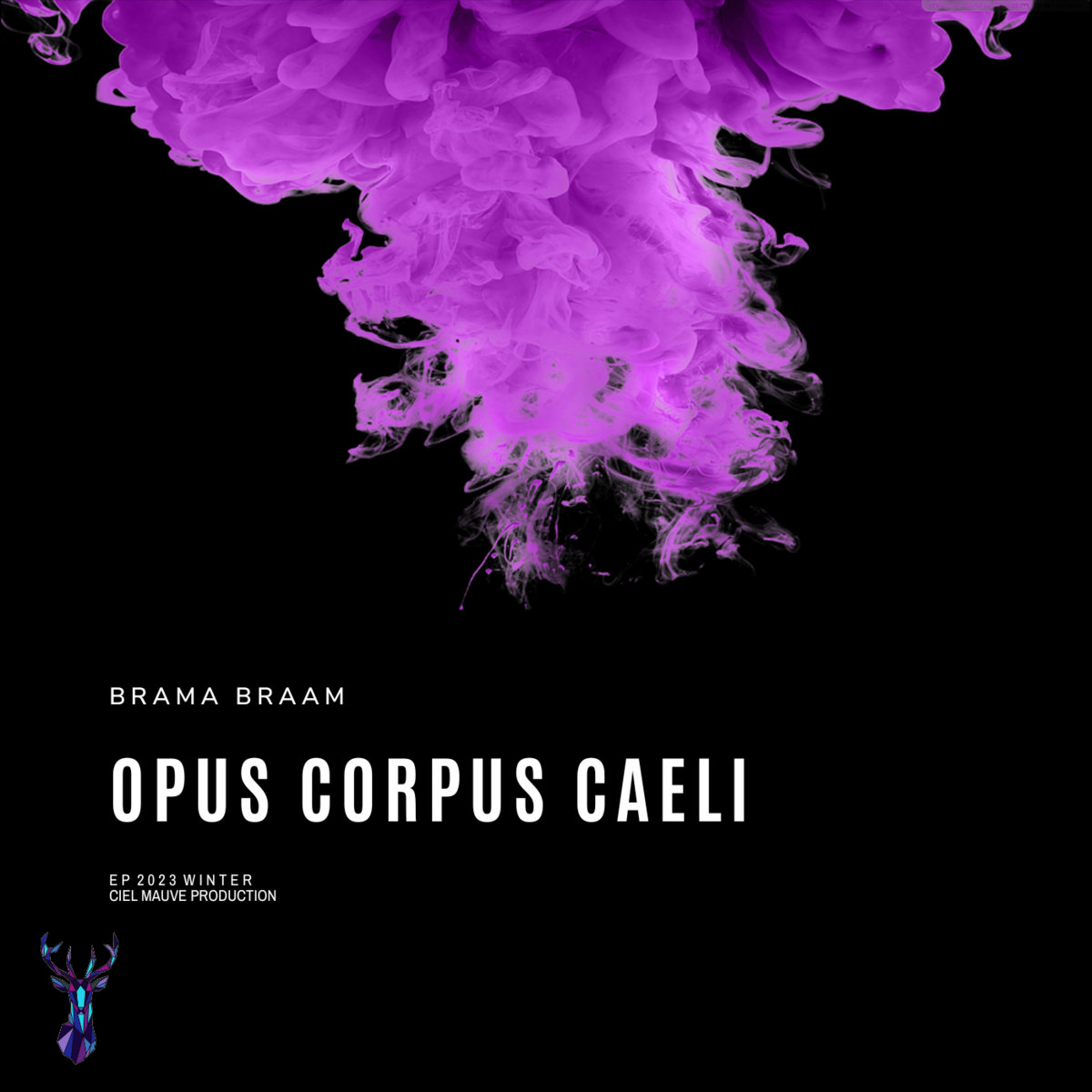 OPUS CORPUS CAELI | BRAMA Braam
