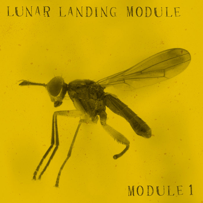 Module 1 | Lunar Landing Module
