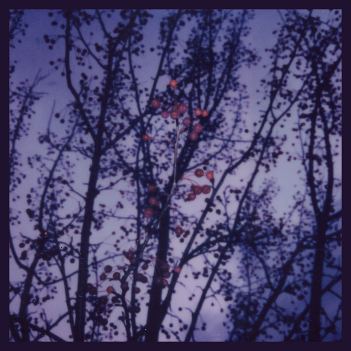 three visits | Matthew Cardinal