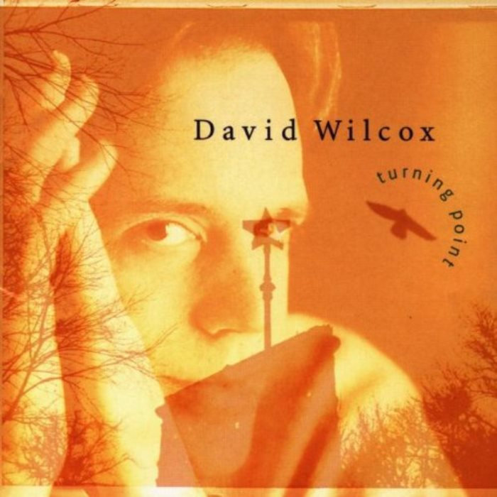 Turning Point | David Wilcox