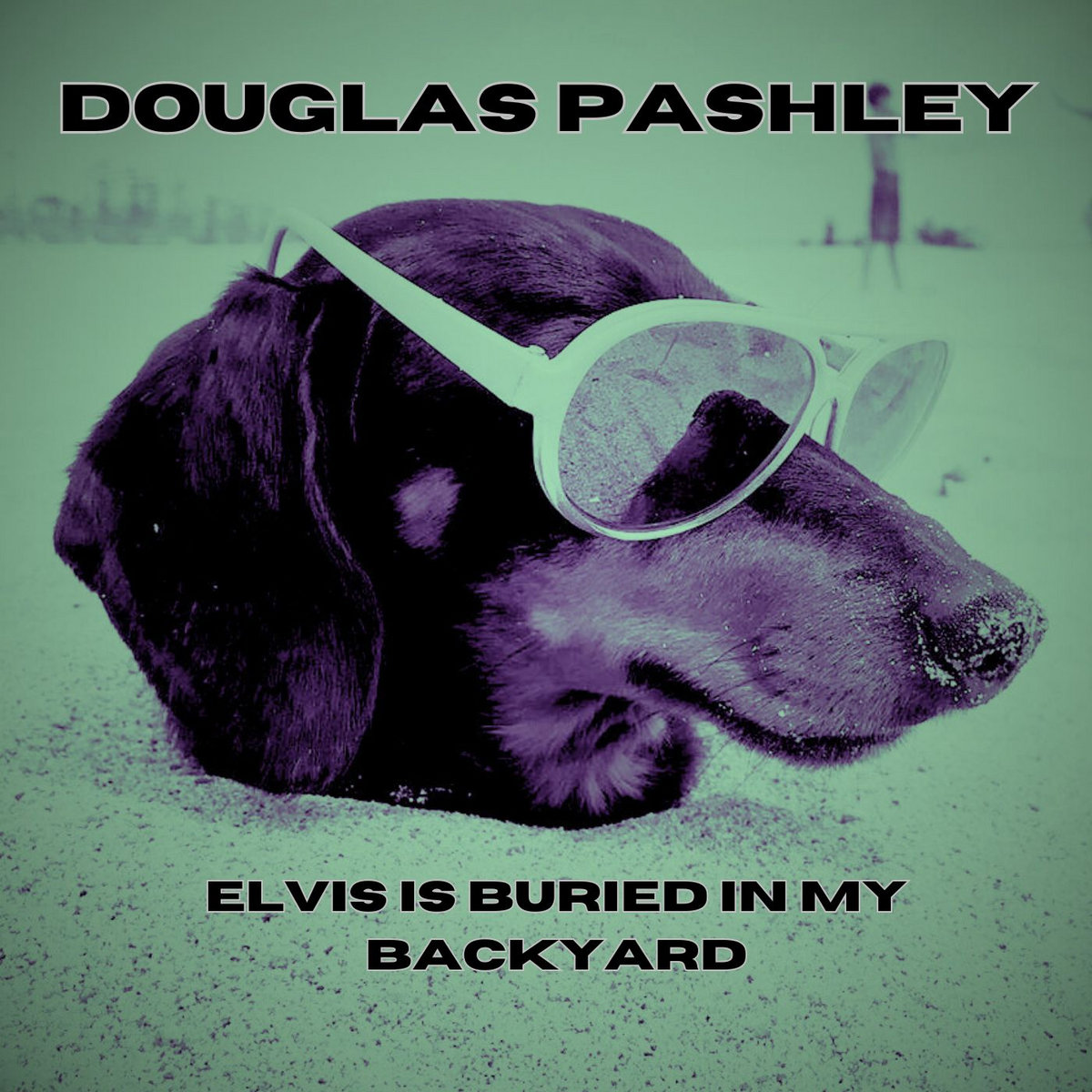 Elvis is buried in my backyard | Douglas Pashley