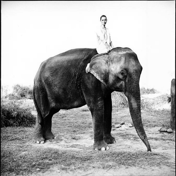 Noir Neuron | Mark WIcks | Mark Wicks