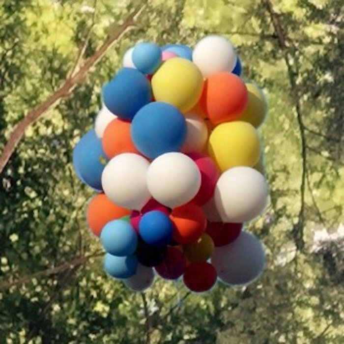 The Bleeding Obvious Album | Yellow City