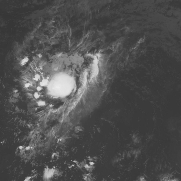 Sharp Strings of Emptiness | Curse of Agony