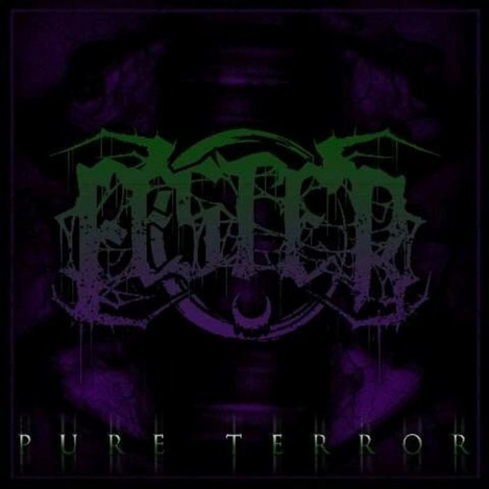 PURE TERROR | FESTER