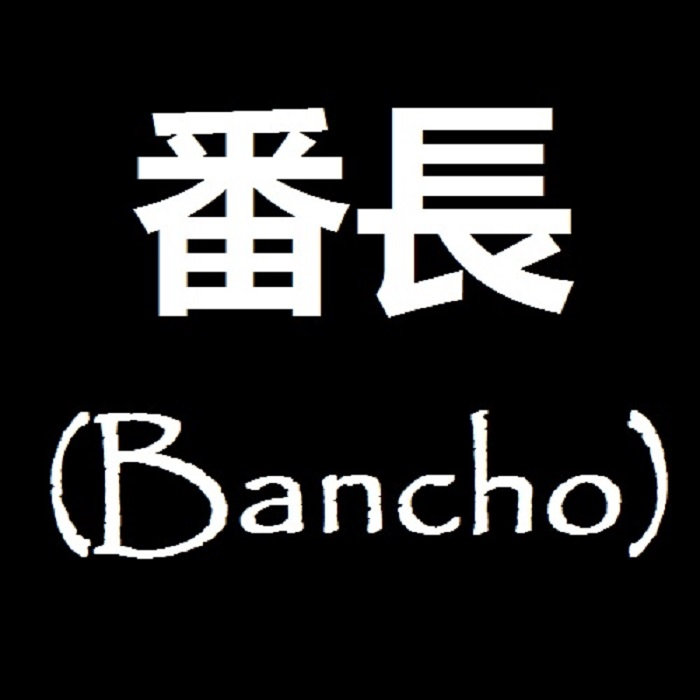Live, 2014-06-27 (Parlor, Laramie, WY) | Bancho