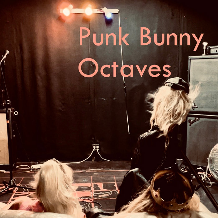 Octaves | punk bunny