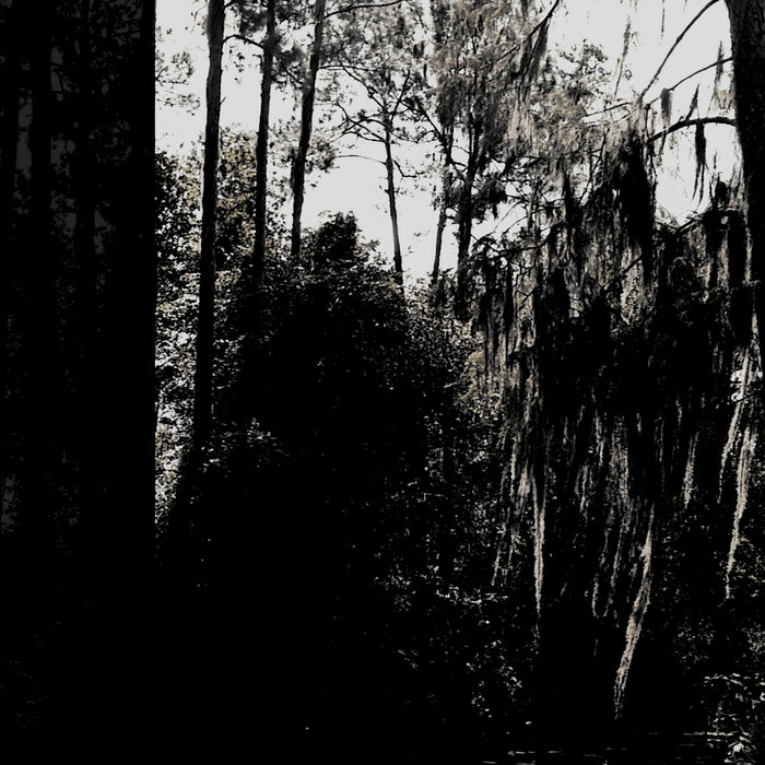 Placebo Indirect Transcendence