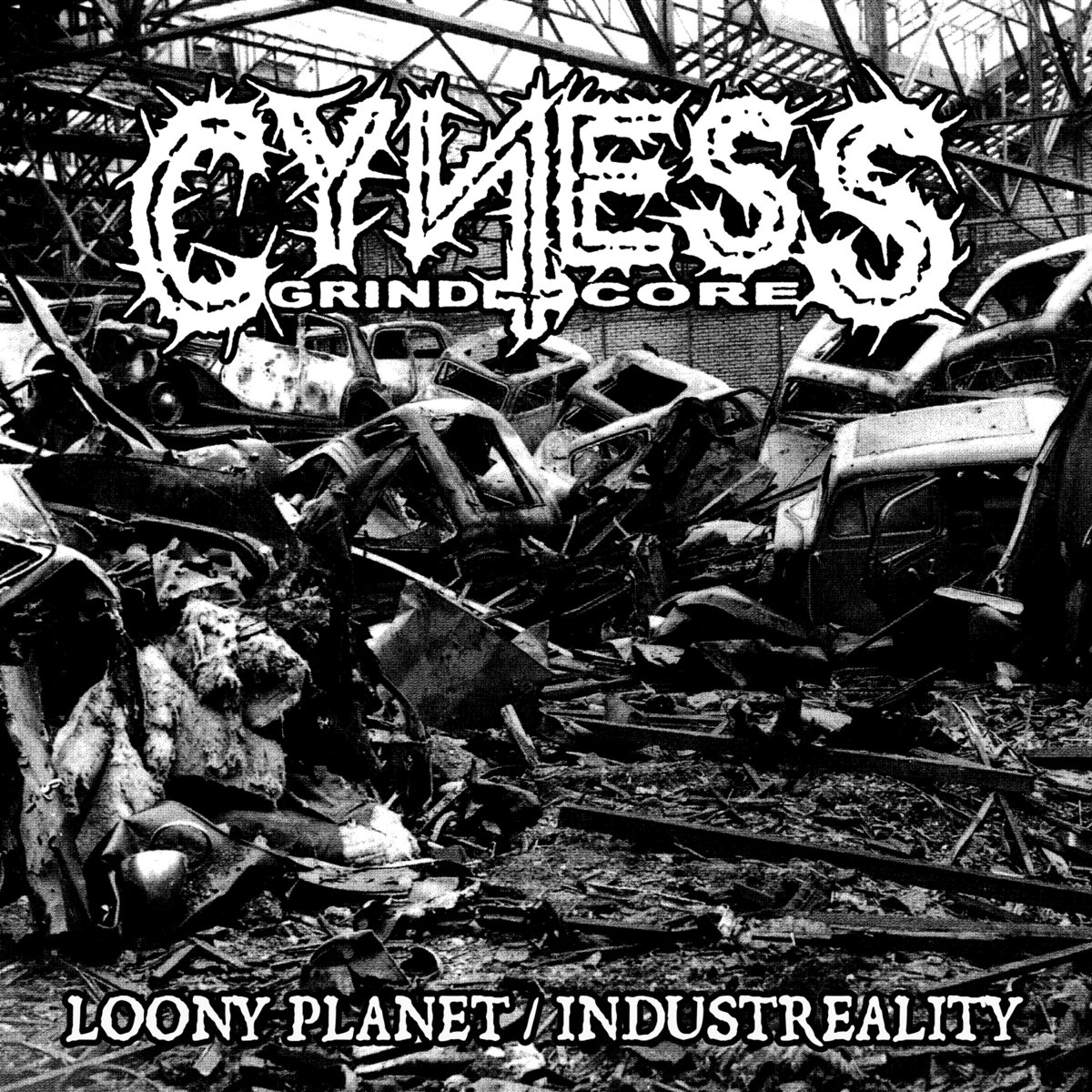 Loony Planet / Industreality | Cyness
