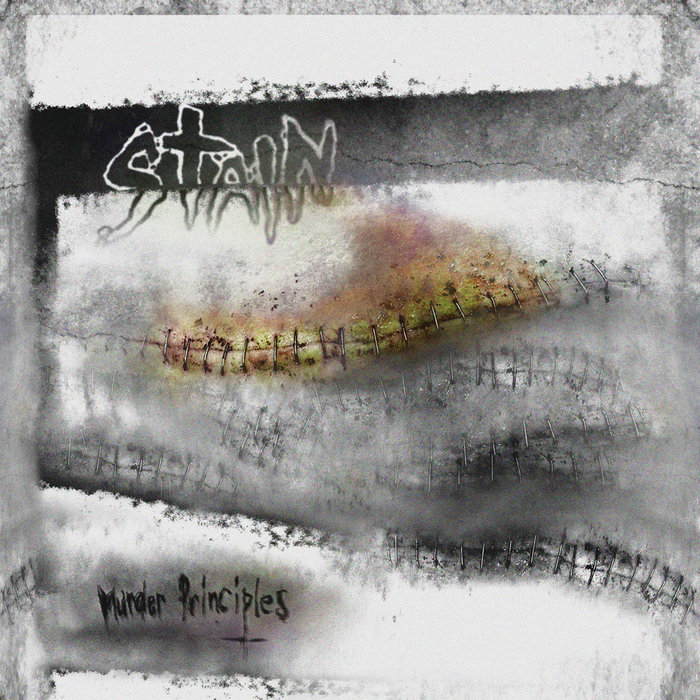 Waste Meat/Murder Principles | STAIN