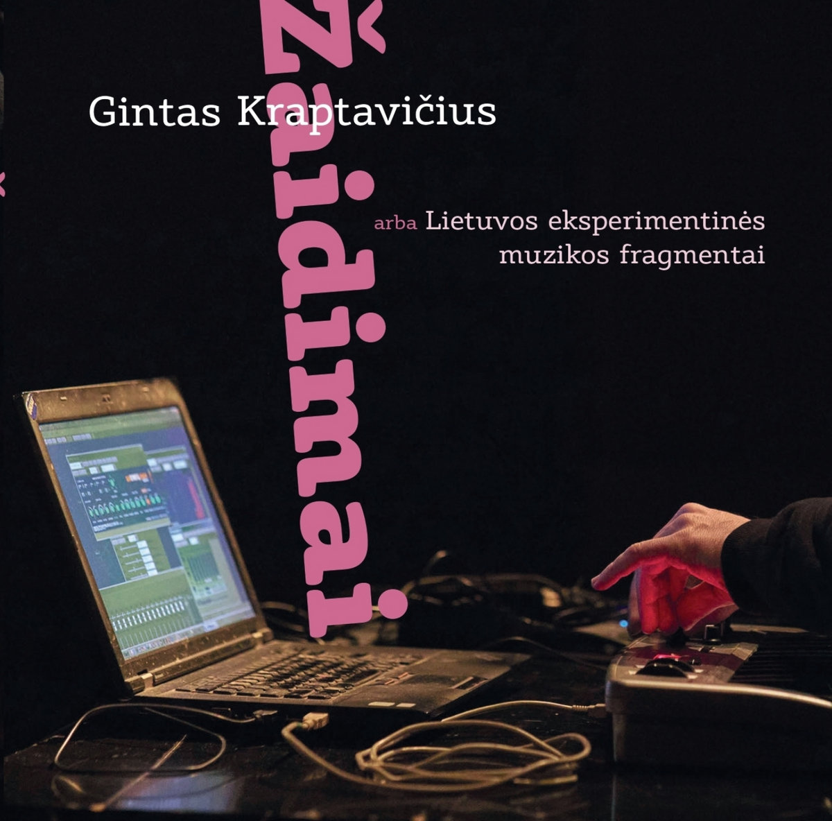 Žaidimai arba Lietuvos eksperimentinės muzikos fragmentai (a book ...