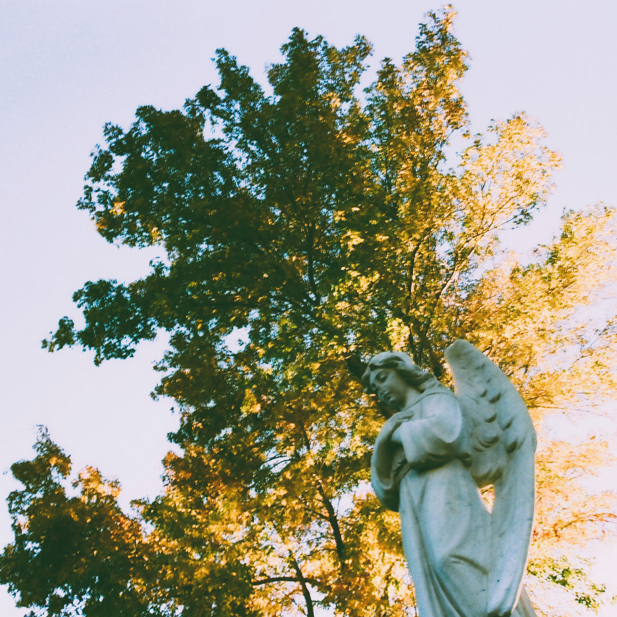 Mandy | Fox Ridge Park