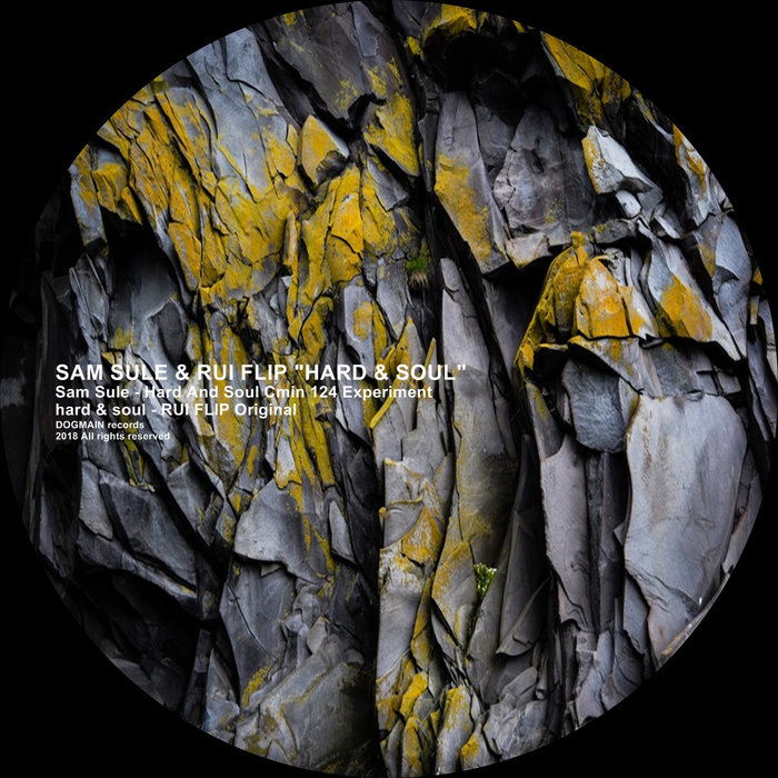 SAM SULE & RUI FLIP "HARD & SOUL" | Dogmain records