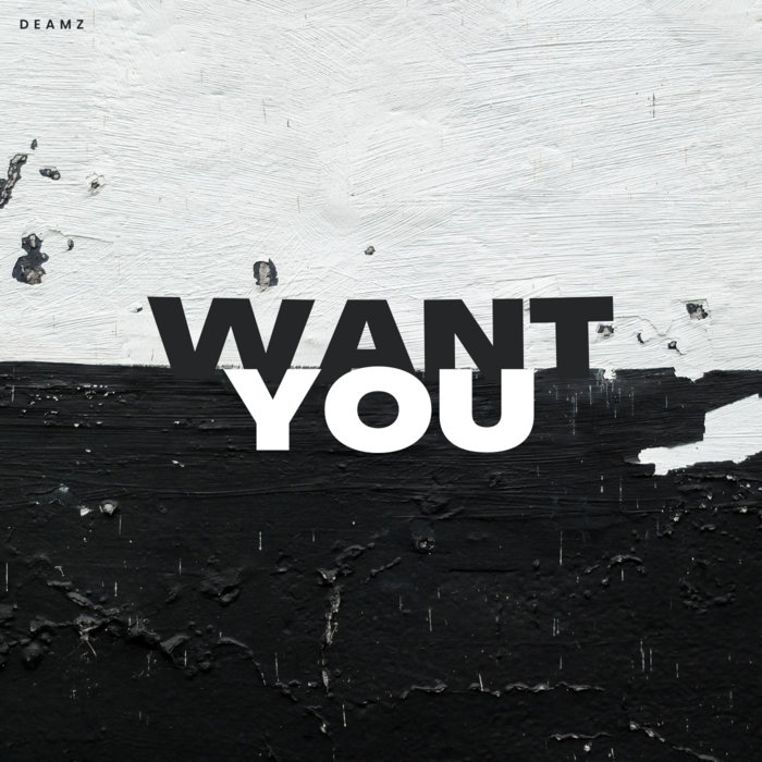 Want You (Original Mix) | Dj Deamz