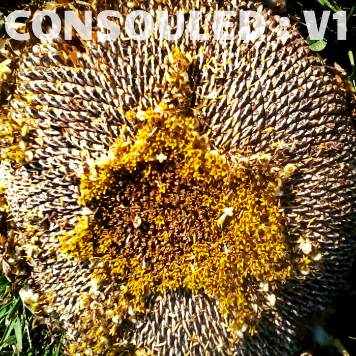 CONSOULED VOL I | CONSOULED | Electric Relics Audio Artifacts