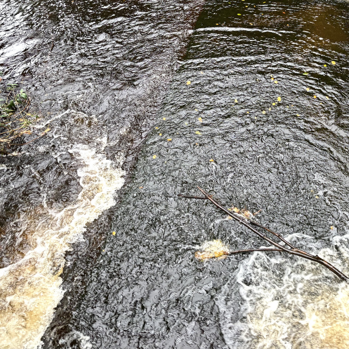 Remembering & Forgetting | David Toop