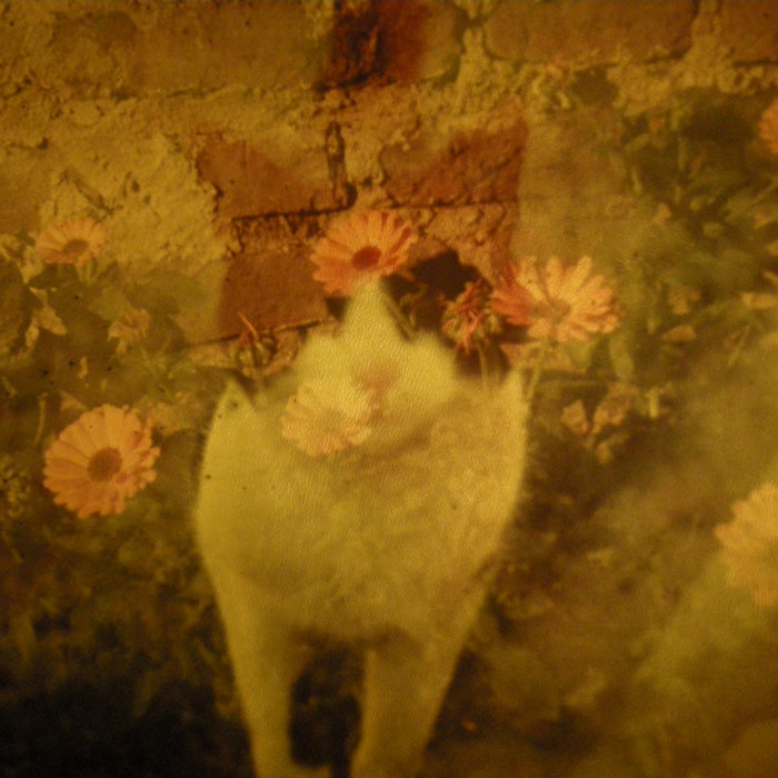 Pleisto Seno 2007 | Pleisto Seno | joaquin segade