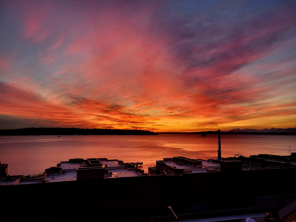 Academy, Second Term | Jason Hennig