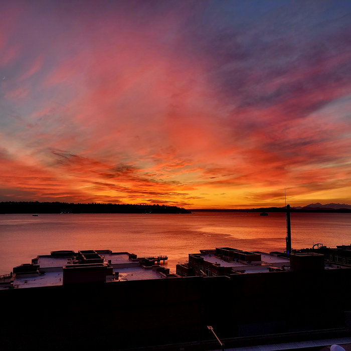 Academy, Second Term | Jason Hennig